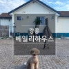 강릉 독채 애견펜션 베일리하우스 카라반 여행 추천 강원도 프라이빗 애견동반 가성비 감성 숙소 네이버 블로그
